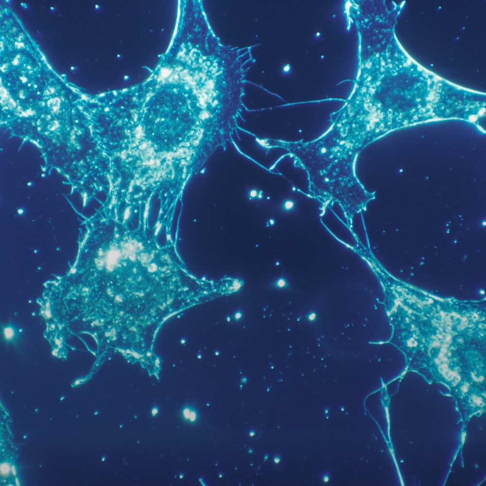 Biochemistry - Your Studies - UCCF Leadership Network